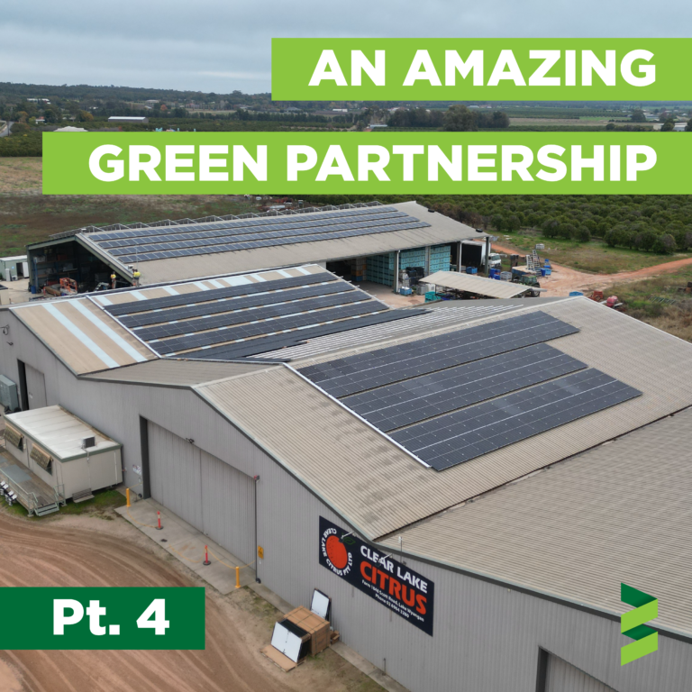 An Amazing Green Partnership - Boschetti