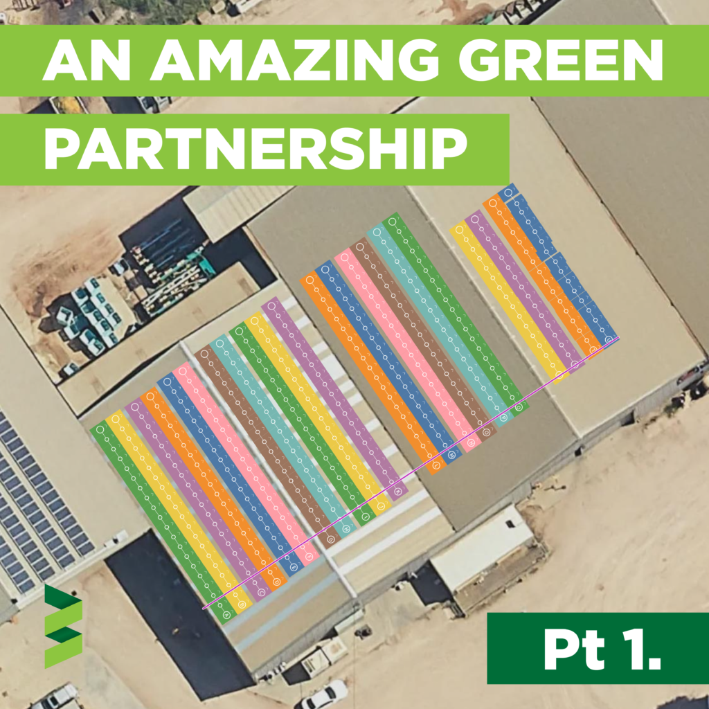 An Amazing Green Partnership - Boschetti