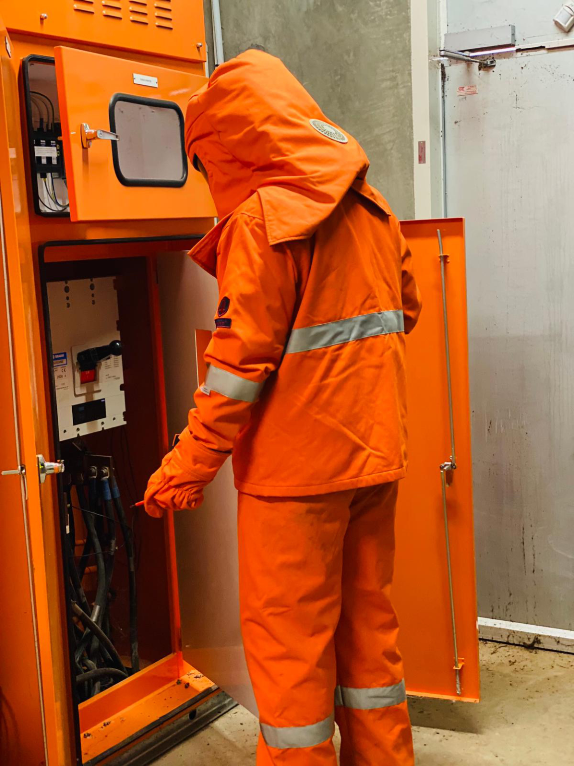 ARC Flash Studies - Boschetti